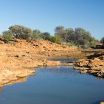 YMAC – River in Badimia Country